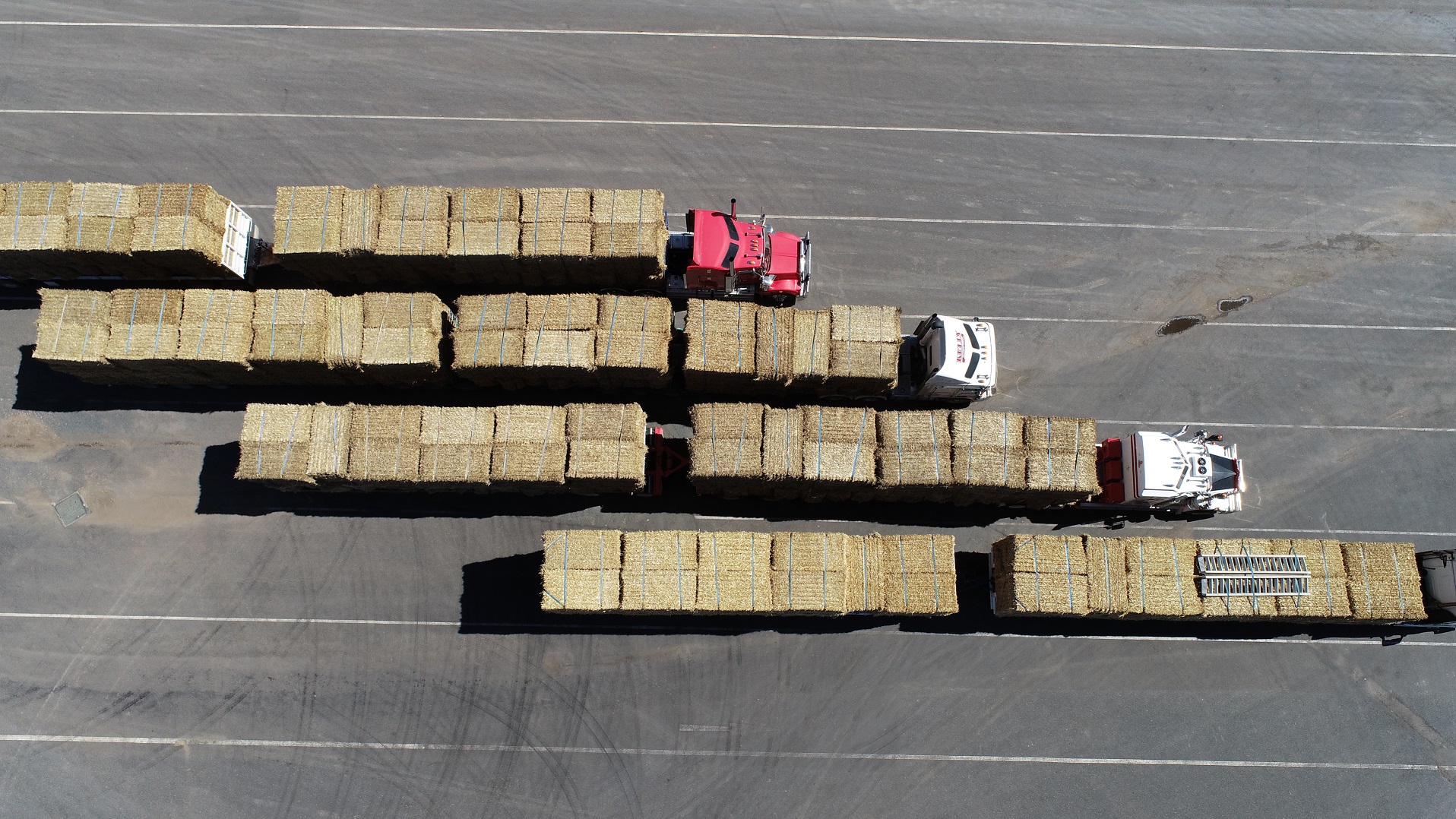 Fifty flood-affected farmers receive hay from Rural Aid - Rural Aid Media